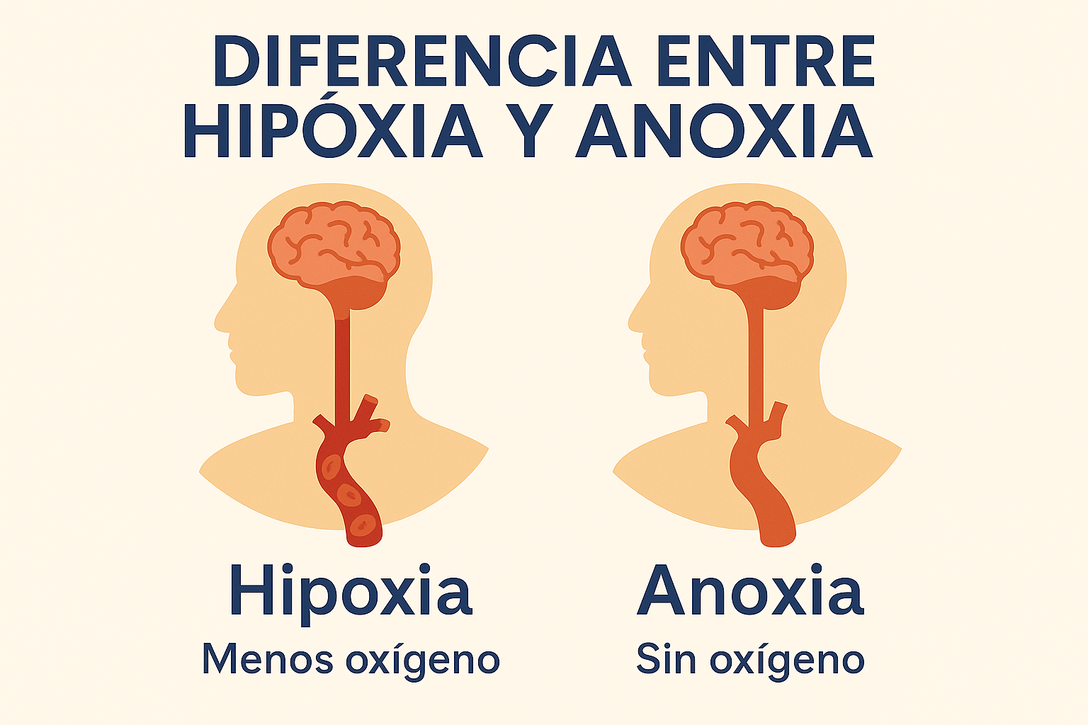 Diferencia entre hipoxia y anoxia - NeuroAiD™