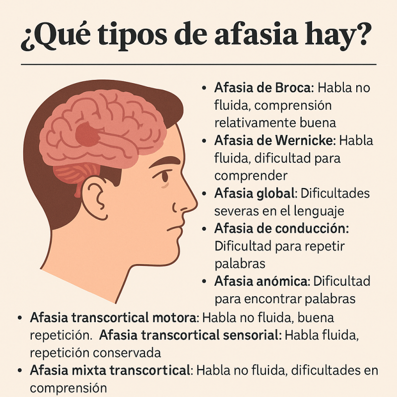 Qué tipos de afasia hay.Una guía completa - NeuroAiD™