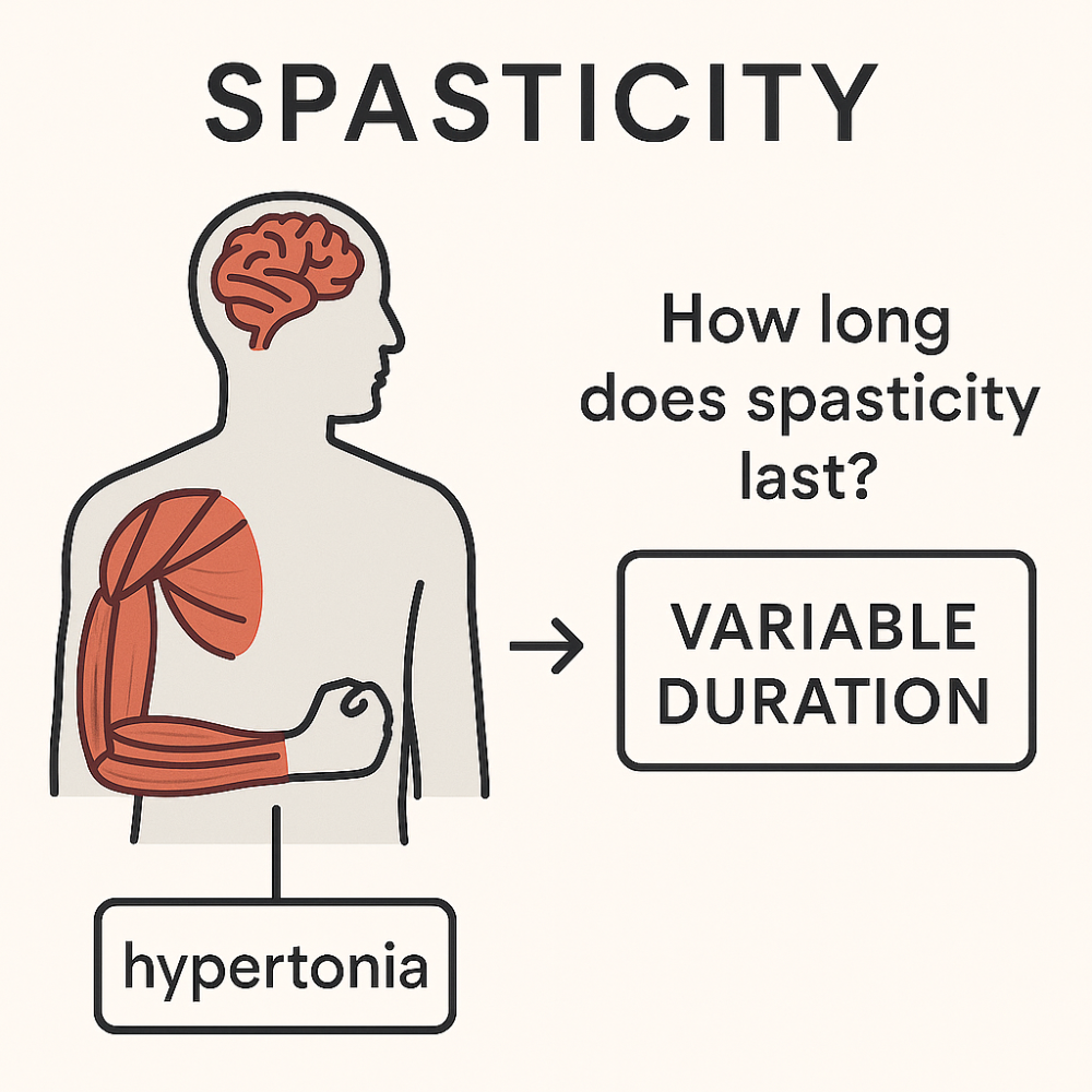 How Long Spasticity Lasts: Everything You Need to Know - NeuroAiD™